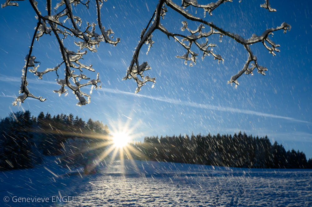 Le Donon dans les Vosges | © Genviève Engel